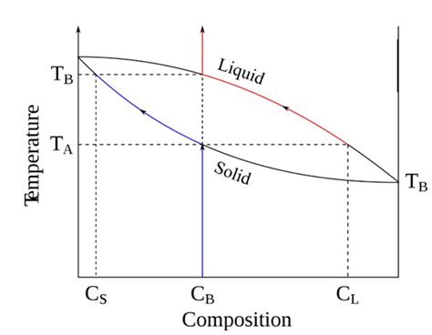 Binary Equilibrium Phase Diagram