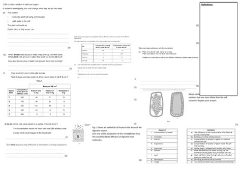 Igcse A3 Exam Sheet Collection 18 Sets Teaching Resources