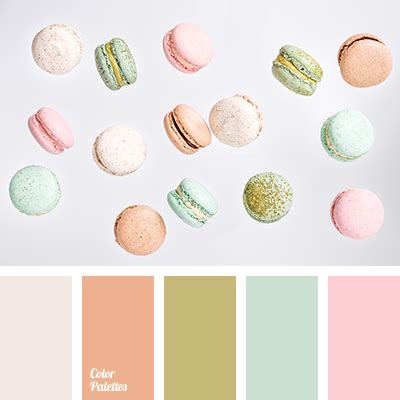 Color Of Vanilla Macaroons Color Palette Ideas For Your Inspiration