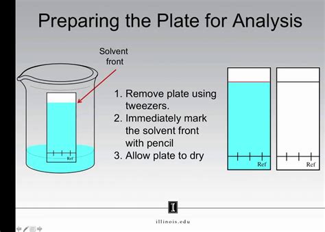 Difference Between Paper And Thin Layer Chromatography With Comparison