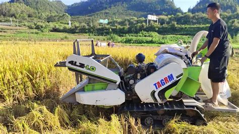 Moissonneuse Batteuse De Riz เครื่องเก็บเกี่ยวข้าวสาลีมินิเครื่องเก็บ