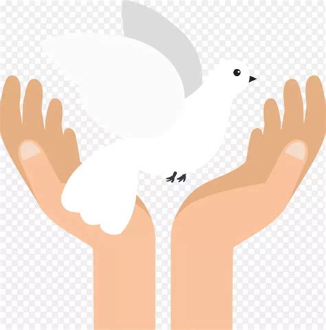 矢量图水彩手捧白鸽png图片素材下载图片编号ylgnrzkq 免抠素材网
