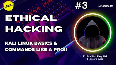 3 kali linux basics learn the command line like a pro kali linux
