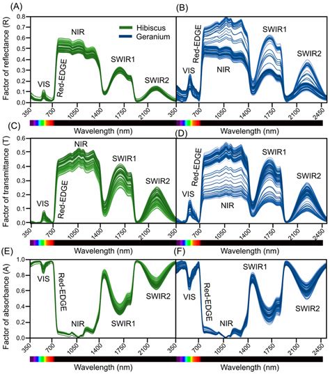 Spectral Leaf Reflectance Transmittance And Absorbance In Vivo