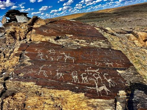 Дэл уулын хамгаалалтыг сайжруулна