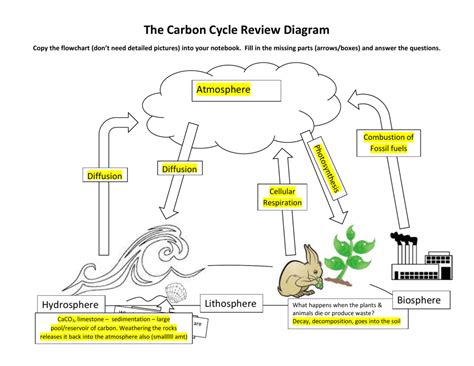 Carbon Cycle Flow Chart