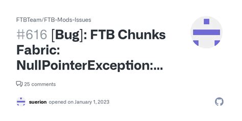Bug Ftb Chunks Fabric Nullpointerexception Cannot Invoke Net