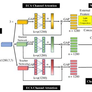 The Architecture Of The Network Download Scientific Diagram