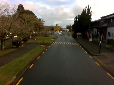 Tree Dataset 2023 Object Detection Dataset V8 2023 02 01 8 37pm By Urban Tree Detection