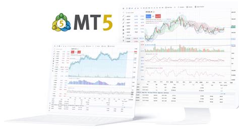 How To Use Metatrader 5 Platform Mt5 Beginners User Guide
