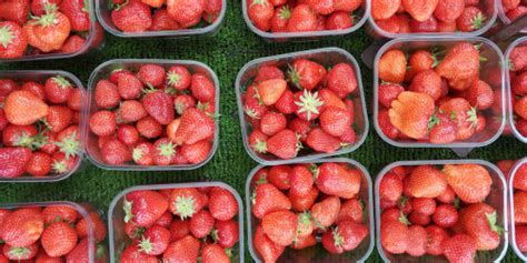 Bdti Edge Ai And Vision Alliance