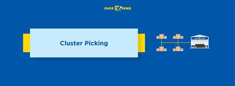12 best picking methods to streamline your product delivery