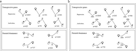 Non Additive Gene Expression Patterns And Number Of Non Additive Genes Download Scientific
