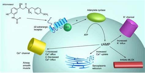 Hyperkalemia ⬆️🍌 R Metabolism2