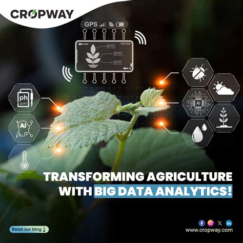 Transforming Agriculture With Big Data Analytics Cropway 2025