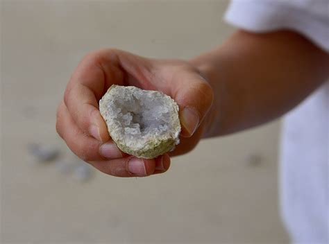 A Babe Of Fish Breaking Geodes