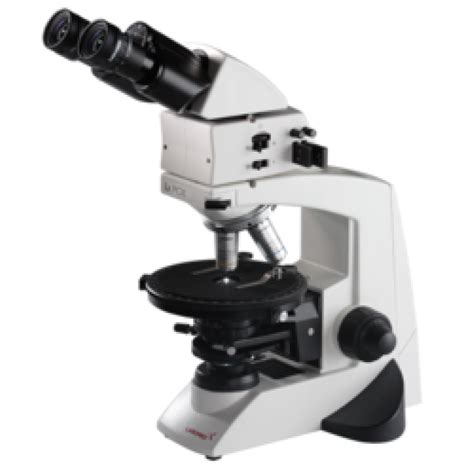 Buy Labomed Microscope Get Price For Lab Equipment