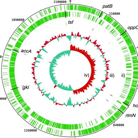 Global Sequence Cluster Analysis Of S Mitis Genomes Using Poppunk A Download Scientific