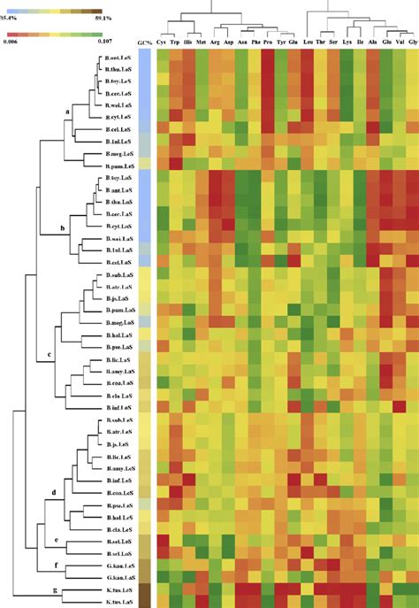bi clustering of bacillus species according to their standardized amino