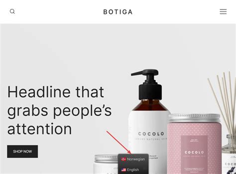 How To Create A Multi Language Website In Wordpress Colorlib