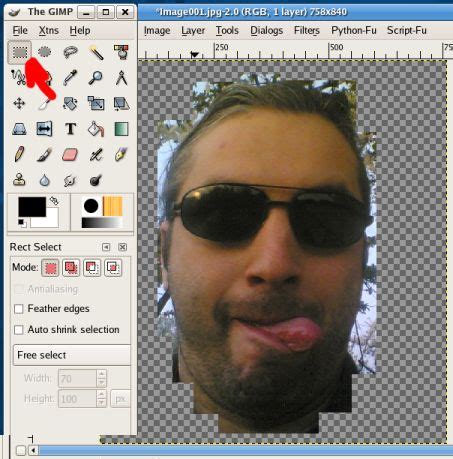 Nicu S How To Creating Hackergotchis With GIMP