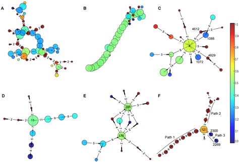 Six Typical Connected Operon Components The Size Of Node Is