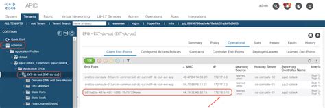3 3 A Deep Dive Into Openstack Networking With Cisco Aci Opflex Integration External