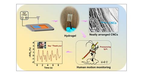 Ultrastretchable And Highly Sensitive Hydrogel Strain Sensors By Electrohydrodynamic Direct
