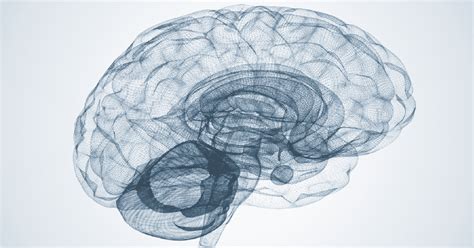 Frontal Asymmetry 101 How To Get Insights On Motivation And Emotions From Eeg Imotions