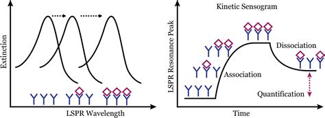 Technology Plasmetrix