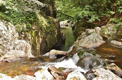 観光情報 三段峡ホテル
