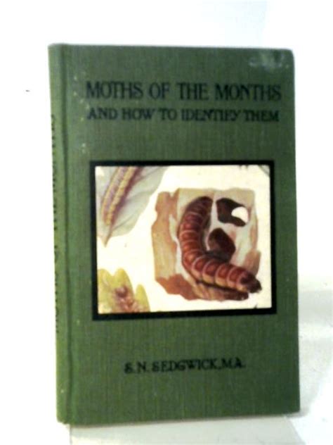 Moths Of The Month And How To Identify Them Old And Rare At World Of