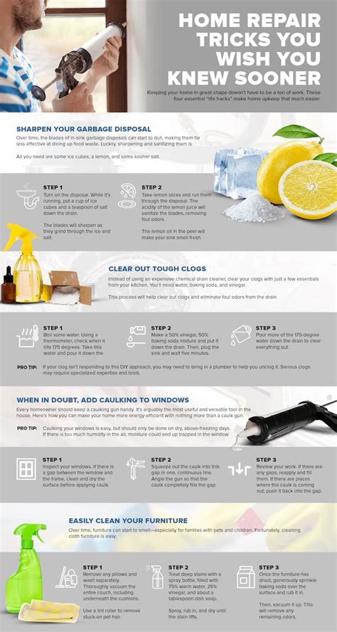 Garbage Disposal Maintenance Hacks DwellHack