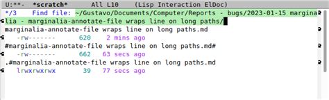 `marginalia Annotate File` Annotations Wrap Line On Long Paths · Issue 152 · Minadmarginalia