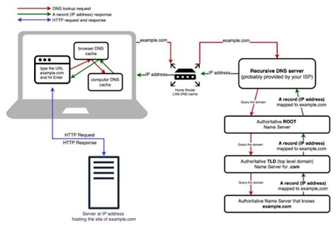 how to monitor dns query response time netdata