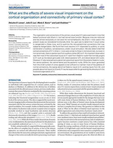 PDF What Are The Effects Of Severe Visual Impairment On The Cortical Organization And