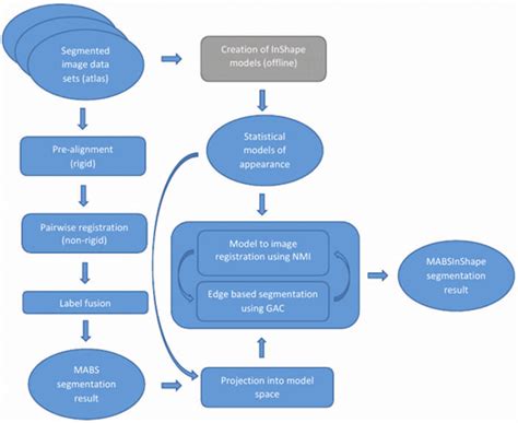 General Work Flow Of The Proposed Segmentation Approach Download