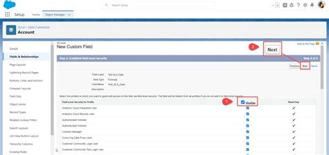 salesforce formula date to text