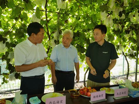 新闻信息