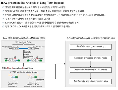 유전체분석 셀레브레인