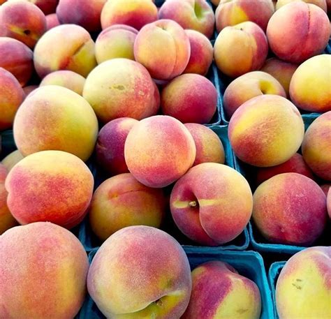 Peaches Gym Lockn Millions Of Peaches Peach