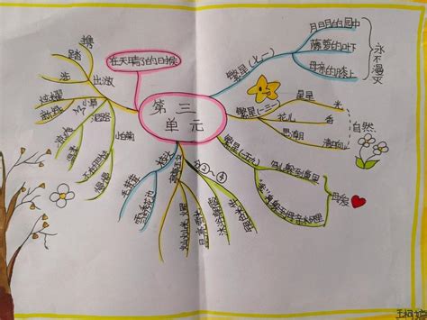 四年级语文第三单元思维导图 四年级语文第三单元思维导图又简单又好看怎么画呢 图片 网专笔记