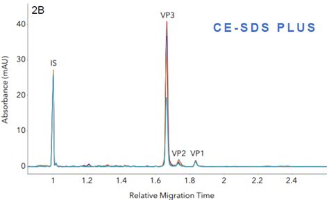Characterize Viral Vectors Easily