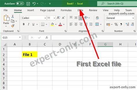 Open Two Excel Files In Separate Windows Excel Tips Ms Office