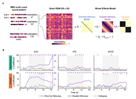 Mixed Effects Modeling On Neural Rdms Using Hypothetical Stimulus And