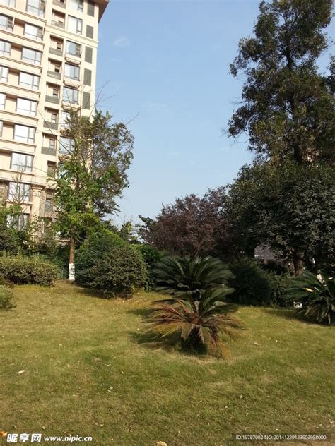 植被 景观摄影图 园林建筑 建筑园林 摄影图库 昵图网