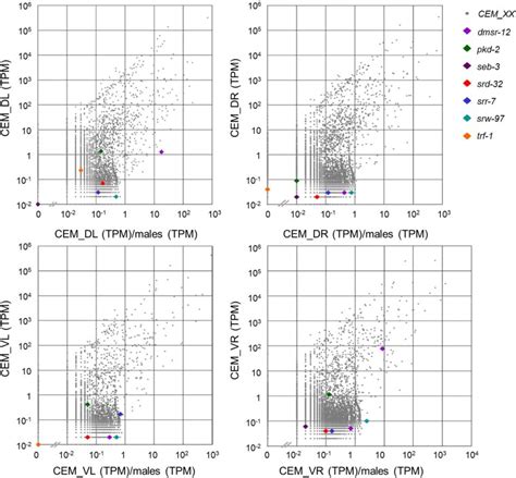 Transcriptomic Profiling Of Sex Specific Olfactory Neurons Reveals Subset Specific Receptor