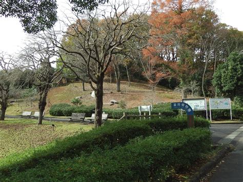 東京薬科大学 薬用植物園 ワッカチッタ
