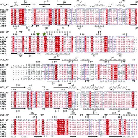 Secondary Structure Based Sequence Alignment Of Bos And Hct Homologs