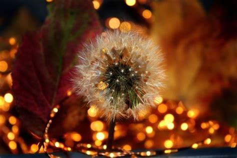 Kernig Sign是什麼？ 美力健康